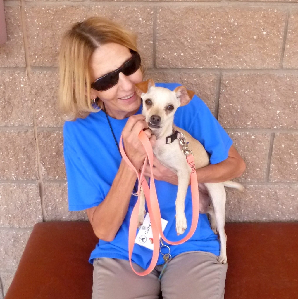Get Involved Sun Valley Animal Shelter Get Involved Sun Valley Animal Shelter